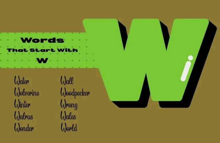 Words That Start With W: 100+ Awesome Collection